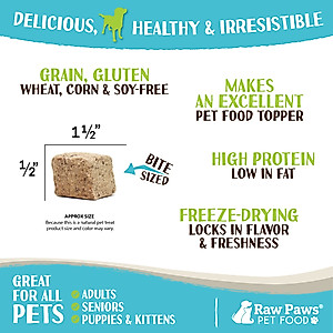 Raw Paws Freeze Dried Chicken Liver Dog Treats & Cats Treats, 4-oz - Made in USA - Freeze Dried Liver Treats for Dogs - Dog Liver Treats - Freeze Dried Liver for Dogs - Dried Liver Dog Treats