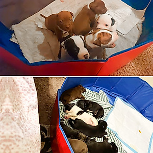 Artilife Whelping Pen for Dogs,Whelping Box for Dogs and Puppies,Dog Birth Supplies,Portable Whelping Pool Whelping Box,Whelping Box for Small Dogs(32" Dia.x8 H)