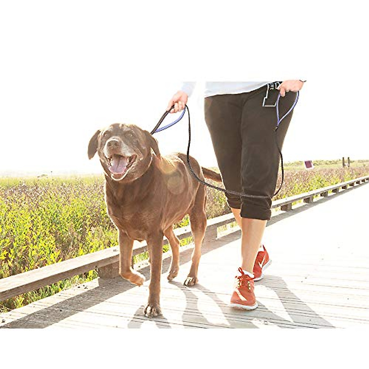 rabbitgoo Dog Leash 6ft Long, Heavy Duty Leash with 2 Padded Traffic Handles, Hands Free Leash for Control Safety Training, Reflective Walking Lead for Small, Medium, Large Dogs