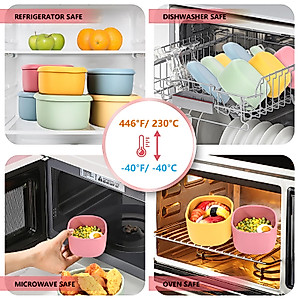 AOEDEO 4Pcs Silicone Food Storage Containers with Lids，BPA Free Reusable Silicone Storage Containers for Food Silicone Freezer Containers Freezer Dishwasher Safe (33.8oz, 20oz, 10oz, 6.7oz) (pink)