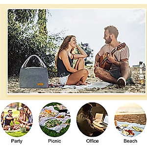 Mziart Lunch Bag for Women Men Reusable Lunch Bags Simple Lunch Tote Bag Modern Insulated Lunch Box Food Container Lunch Cooler Bag for Work Office Travel Picnic (Gray)
