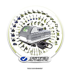 Snow Joe 24V-2AMP-SK1 Starter Kit Includes 1 x 2.0-Ah Lithium iON Battery + Standard Charger, 2.0, White