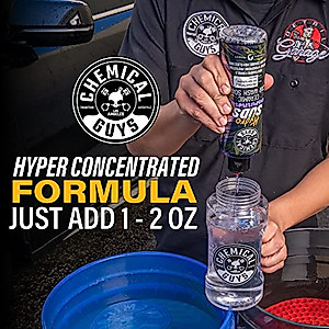 Chemical Guys CWS21216 HydroSuds Ceramic SiO2 Shine High Foaming Car Wash Soap (Works with Foam Cannons, Foam Guns or Bucket Washes) For Cars, Trucks, Motorcycles, RVs & More, 16 fl oz, Berry Scent