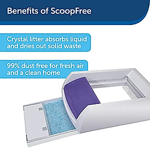 PetSafe ScoopFree Self-Cleaning Cat Litter Box Privacy Hood, Purple