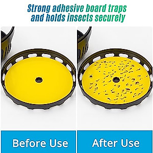 X-PEST Flea Traps for Inside Your Home, USB Rechargable Flying Insect Trap Indoor for Fleas Gnats Flies Moth Mites Bugs Fruit Flies Mosquitoes with 10 Refills