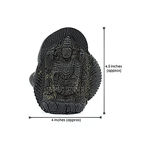 Vedic Vaani Tirupati Balaji in Natural Shaligram Stone from Gandaki River Nepal (1 Pcs)