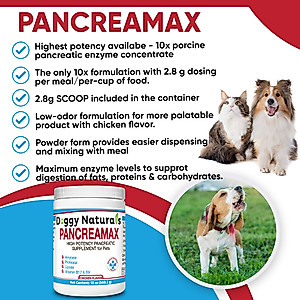 PancreaMax 10x Pancreatic Enzymes for Dogs and Cats (12 oz) Powder (Made in U.S.A). Pancreatin 10X for Dogs and Cats Contain Pancreatic Enzyme, High Strength, Low Odor.(10x Porcine Pancreatin)