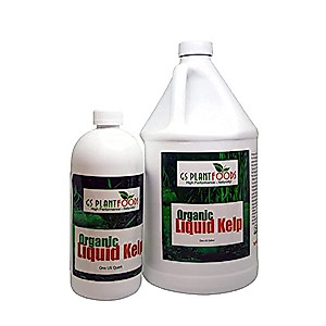 Organic Kelp Fertilizer by GS Plant Foods - Omri Certified (1 Quart) - Kelp Fertilizer for Gardens, Lawns & Soil