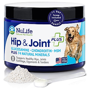 Advanced Glucosamine Powder for Dogs for Arthritis Pain Relief & Hip Dysplasia, Supports Joint Health & Reduces Inflammation with Glucosamine, Chondroitin, MSM & Coral Calcium, 6oz Powder