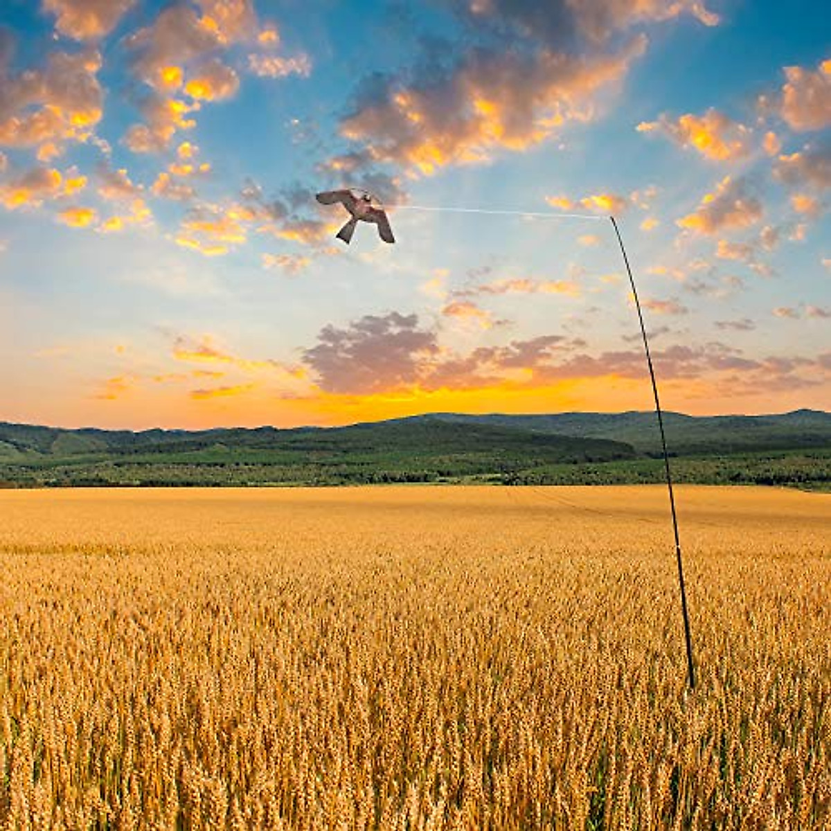 eyijklzo Bird Scarer Flying Kite Crops Farm Flying Bird Hawk Flying Kite with 4m Telescopic Pole