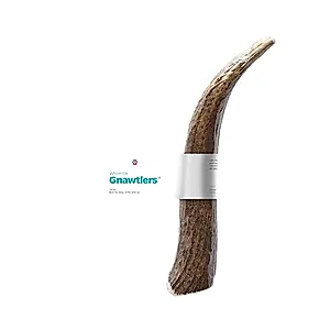 Pet Parents® Gnawtlers® - Premium Elk Antlers for Dogs, Naturally Shed Elk Antlers, All Natural Elk Antler Dog Chew, Specially Selected from The Heartland Regions (Large)