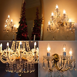 Jahy2Tech 6Pcs Flea Trap Replacement Light Bulbs C7 E12 Night Light Bulbs 130V 7W Incandescent Equivalent for Most Flea Traps