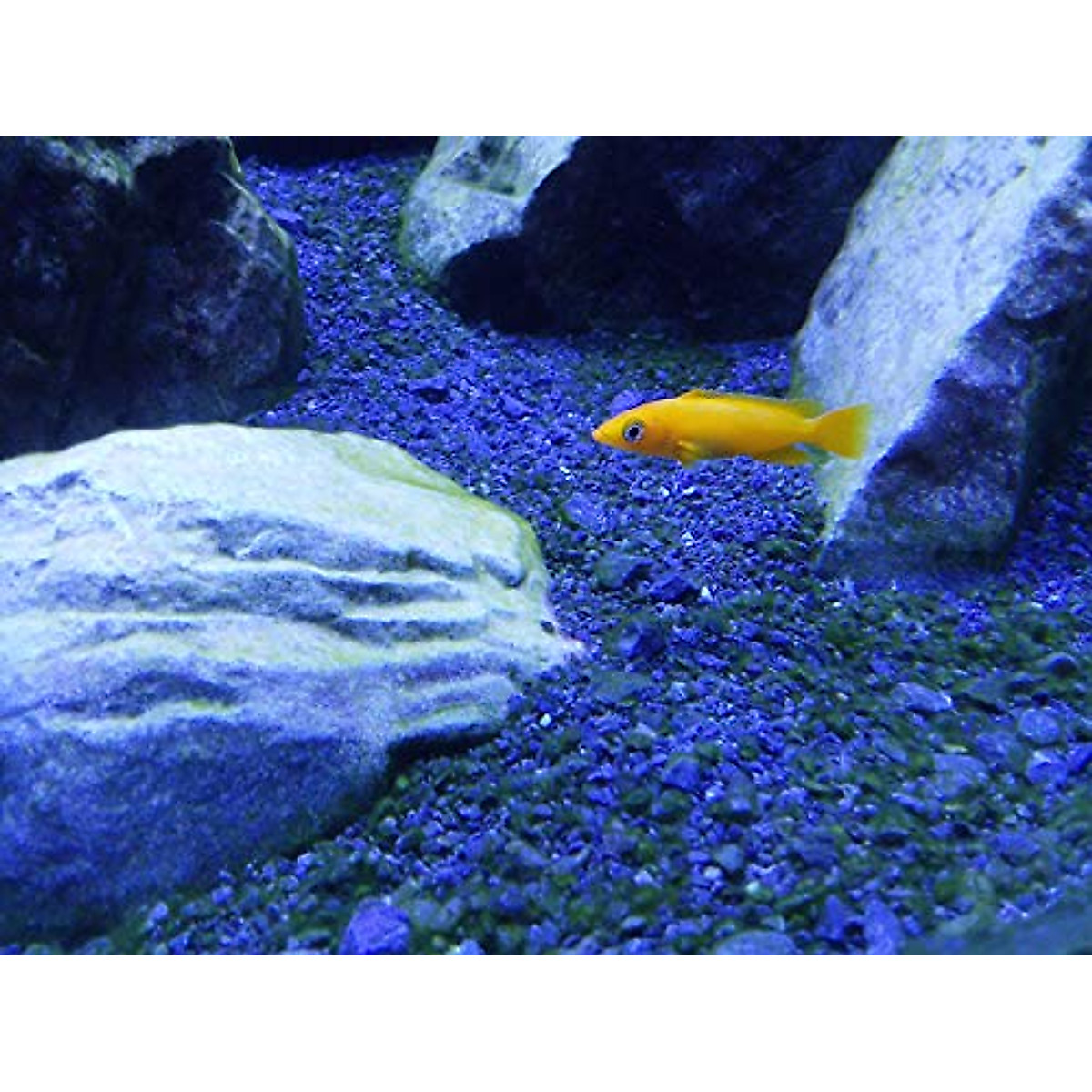 Cichlid Lake Salt, 250 g / 8.8 oz