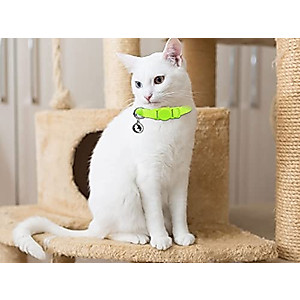 Uteuvili 12 PCS Breakaway Cat Collars with Bell Colorful Soft Safety Buckle Cat Collars Adjustable Breakaway Kitten Collars Safety Collars for Cats, 7 in-11 in