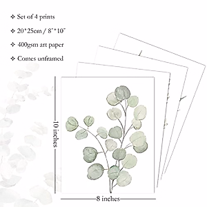 Howwii Botanical Boho Bathroom Decor Wall Art Prints, UNFRAMED Sage Green Plants Decor for Bedroom|Office, Minimalist Eucalyptus Leaves Watercolor Art Prints, Set of 4 Pictures, 8"x10" No Frames