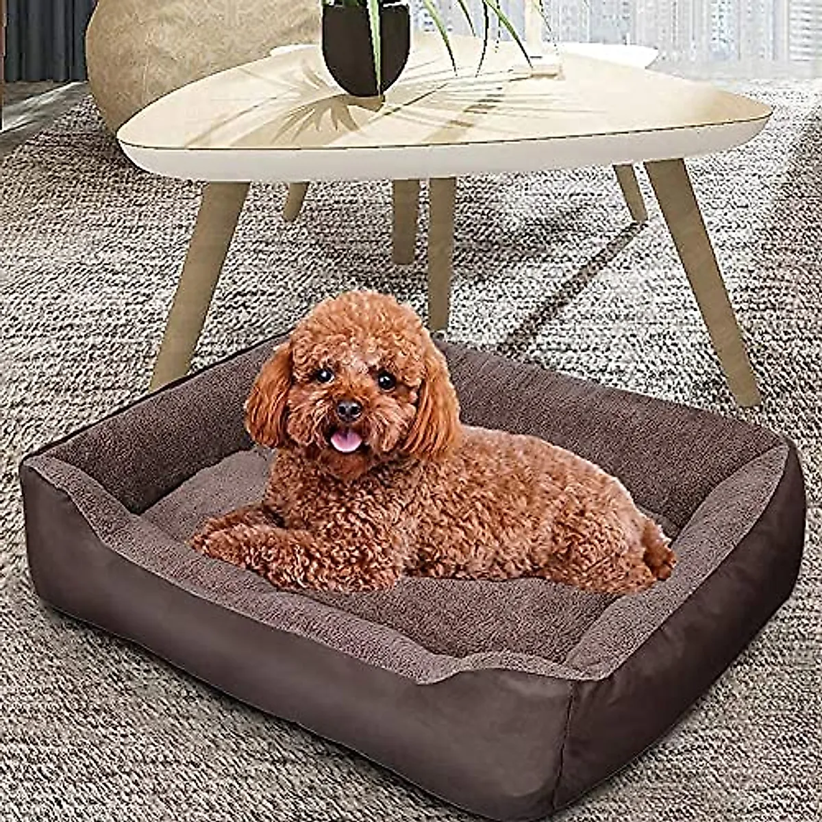 Dog Bed, Dog Beds for Large Dogs, Rectangle Washable Pet Mattress Comfortable and Breathable Large Dog Bed, Pet Bed