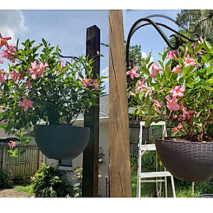 Maosen 16 Inch Swivel Plant Hangers Outdoor - 2 Pack Black Iron Plant Hanging Hook Bracket for Flowers Baskets Planter Pots Bird Feeder Lanterns Wind Chimes