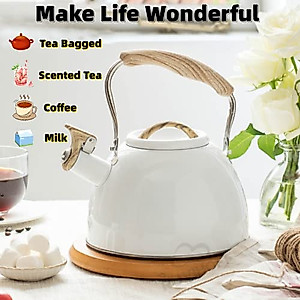 Tea Kettle, 3.2 Quart Whistling Tea Pot for Stovetop,Tea Kettles Stove Top with Cool Grip Ergonomic Handle, Stainless Steel Teapot White
