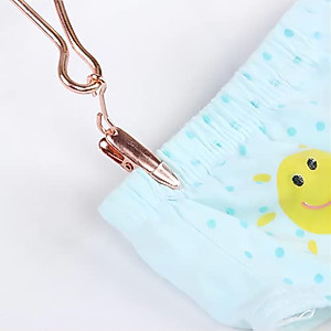 LOVENJOY Clothes Hooks Hangers Rack Metal Alloy Rose Gold for Underwear Bra Pants with Non Slip Clips for Laundry Lingerie Shop Display, 2 Pcs