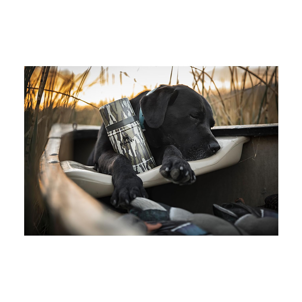 Stanley Classic Legendary Food Jar | 24 OZ