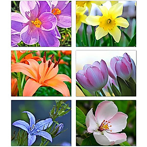 Small World Greetings Spring Flowers Notecards 24 Count - Blank Inside with Envelopes - A2 Size 5.5" x 4.25" - Floral Stationery - All Occasion Birthday, Thank You, and More