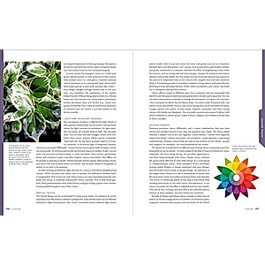 The Essential Garden Design Workbook: Completely Revised and Expanded