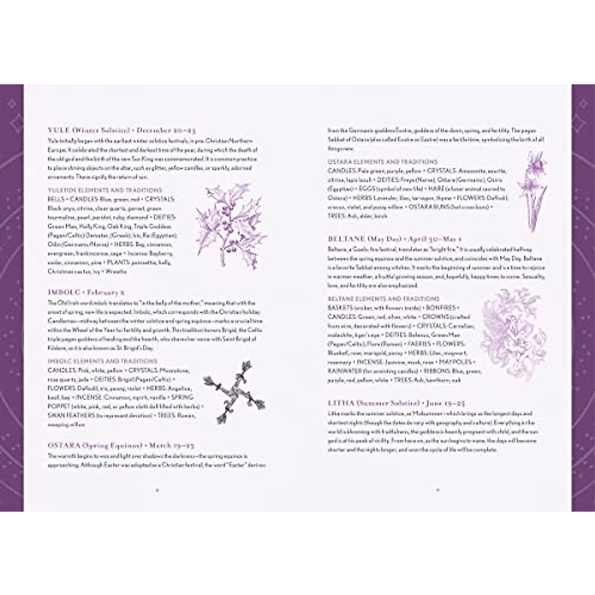 Modern-Day Witch Calendar 2024 Wheel of the Year 17-Month Planner (The Modern-Day Witch)