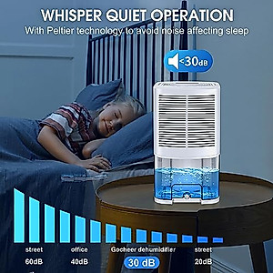 Gocheer Upgrated Dehumidifier for Basement Home, Small Portable Dehumidifiers for Room Home with Drain Hose, 68oz (2000ML) 8000 Cubic Feet 800 Sq.ft, Quiet Dehumidifiers for Bathroom RV Bedroom Closet Kitchen