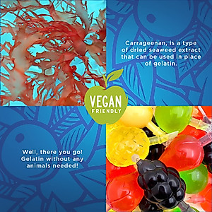 Funtasty Squeezable Fruit Jellies Candy - 25 Count Bag - Assorted Flavors