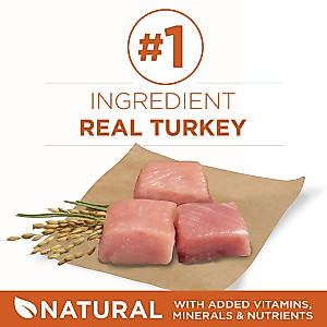 Purina ONE Plus Healthy Weight High-Protein Dog Food Dry Formula - 16.5 lb. Bag