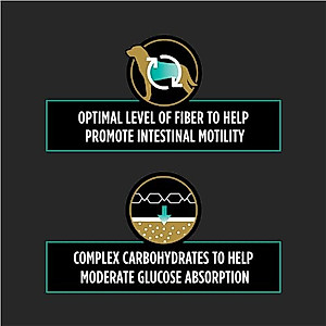 Pro Plan Veterinary Diets Purina EN Gastroenteric Fiber Balance Canine Formula Dog Food Dry - 6 lb. Bag