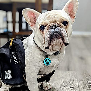 MYLUCKYTAG QR Code Silicone Pet ID Tag Dog Cat Tag, Online Pet Profile, Pet Location Alert Email, Digital Pet Tag, Quiet Dog Tag, Durable Pet ID, Dog Collar Tag, Engraved Pet Tag