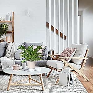 Briful Faux Plants Indoor 17" Artificial ZZ Plants in Ceramic Pot Fake Potted Zamioculcas Silk Plants for Home Living Room Office Decor Bedroom Aesthetic