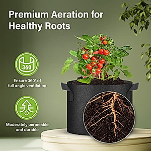 iPower 5-Pack 10 Gallon Plant Grow Bags Thickened Nonwoven Aeration Fabric Pots Heavy Duty Durable Container, Strap Handles for Garden, Black 5-Pack 10 Gallon Plant Grow Bags