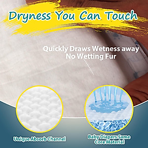 Apupmeo Disposable Dog Diaper Liners - 20PCS Dog Booster Pads for Male Female Dogs - Doggie Diaper Insert Pads for Pet Belly Bands Wraps Period Pants Covers(L,20)