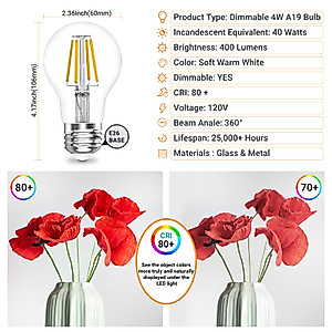 A19 E26 Base Dimmable Edison LED Bulb, 4W(40 Watt Equivalent) Stepless Dimming Light Bulbs 400lm, 3000K Soft Warm White, Vintage Clear Glass LED Filament Bulb for Home, Wall Sconce, Chandelier, 6 Pack