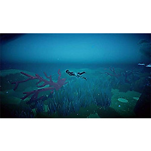 RiME - Nintendo Switch Standard Edition