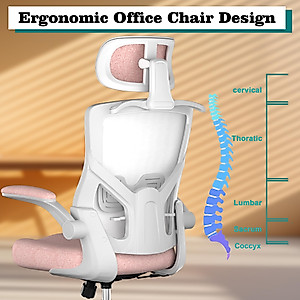 Ergonomic Office Chair, High Back Mesh Desk Chair with Molded Foam Cushion, Adjustable Headrest, Lumbar Support, Lock Function (Petal Pink)