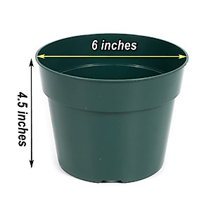 DAPERCI inches Nursery Pot Plant Grow Sturdy Flower pots in Bulk Price 20P Green