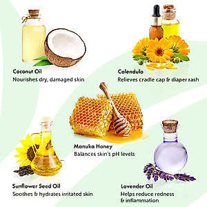 Organic Calendula Ointment Baby Rash Cream - Baby Eczema Cream, Cradle Cap Treatment, Diaper Rash Ointment, Baby Butt Cream - Calendula Oil, Manuka Honey, Lavender, and Coconut - Baby Skin Care (2oz)