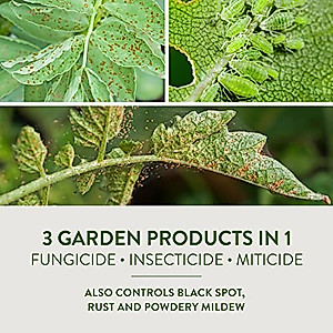 Garden Safe 32 oz. Fungicide Ready to Use