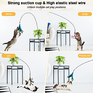 Madgern Cat Toys Interactive Wand Feather Cat Toy Equipped with Double Head Super Sucker&6 in 1 Hands-Free Natural Bird Badminton Pets Indoor Dance Play Toy
