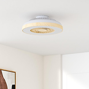 Anresun 23" LED Ceiling Fan with Lights, for Indoor Kitchen Bathroom Bedroom, Dimmable with Remote Control, 3 Files, Adjustable Wind Speed, Modern Ceiling Fan