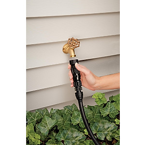 Rain Bird HT07525PSI Drip Irrigation 25 PSI Pressure Regulator, 3/4" Female Hose Thread x 3/4" Male Hose Thread