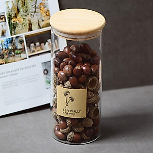 200Pcs Natural Acorns Caps Decorative for Craft Vase Fillers Home Garland Autumn Embellishments Ornaments Vase Fillers