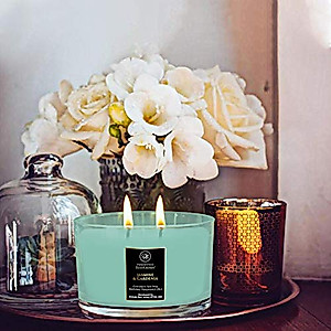 EcoAroma Jasmine & Gardenia Luxury Scented Coco-Soy Jar Candles Organic Coconut Soy Aromatherapy Candles Highly Scented Home Decorative Fragrance Gifts Hand Poured 2 Wicks 10 Oz