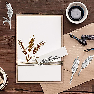 Lapoo Straw Metal Cutting Dies, Die Cuts for Scrapbooking DIY Album Card Making Decor Paper Craft Die Cuts Party Wedding Decorations,Metal Die Cutting Stencils (Straw 5.1×2.9 in)