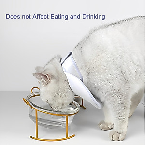 Cat Recovery Collar Soft,Cat Cone Collar Alternative,Neck Cone for Cat After Surgery, Elizabethan Collar for Cat Kitten Puppies (L)