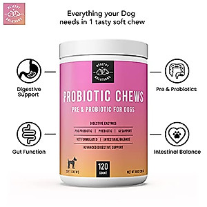 Probiotics for Dogs - Dog Probiotic and Digestive Enzymes - 120 Soft Chews for Digestion Support - Vet Strength Pet Supplement - Made in USA