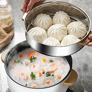 Drizzle 3L Hot Pot Cooker Skillet - Multifunction Frying Pan 110V Non-Stick Grill Stir-fried Stewed Cookware Steak Noodle Ramen Shabu Shabu Pot - Home Office Party Kitchen Dorm Cooking